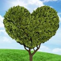 磊哥与电脑网络 