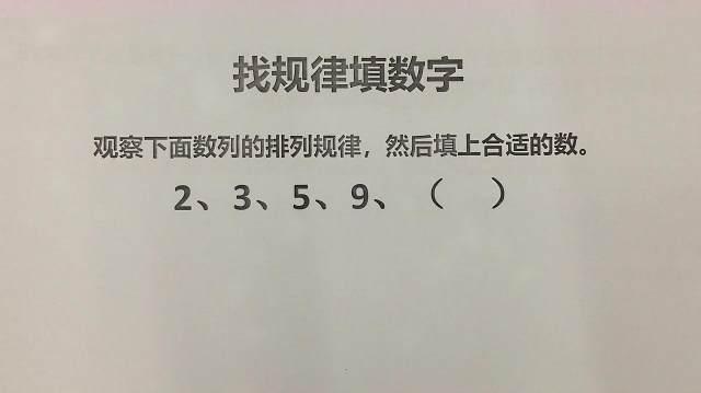 找规律题填数字:2、3、5、9、()括号里填什么?你能找到方法吗