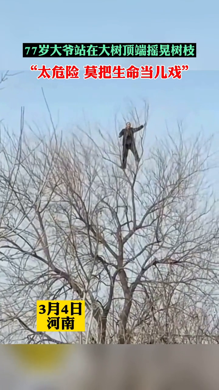 77岁大爷站在大树顶端摇晃树枝,太危险了!莫把生命当儿戏!