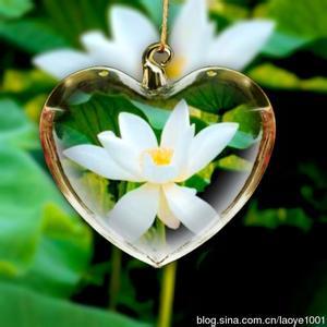 浩哥的体育世界 