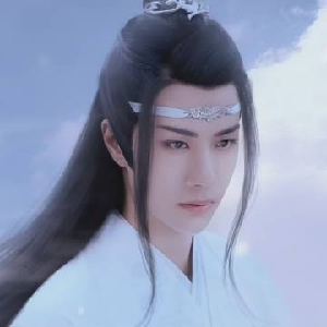 姑苏蓝湛以上羡 