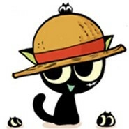 化学班的小伙伴 