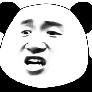 你好我是王大砖 