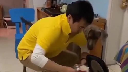 小哥做好了饭,结果差点被狗子打翻,主人晚上差点就吃了狗肉!