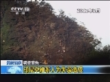 [视频]调查报告:印尼空难系人为失误造成