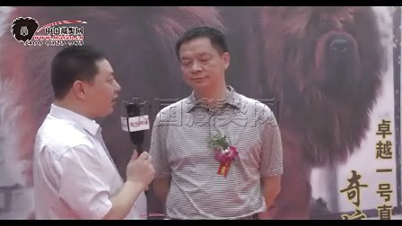 中国藏獒网2012年度藏獒发展大会央视国际频道专访华府獒园丁总