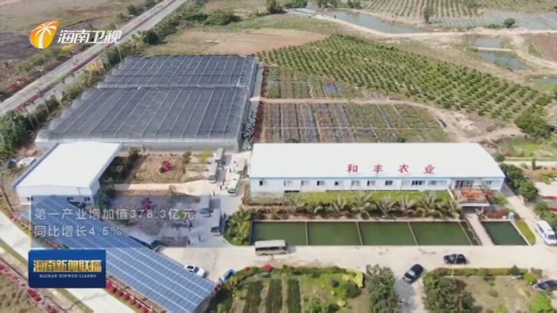 [海南新闻联播]海南:一季度主要经济指标保持在合理区间