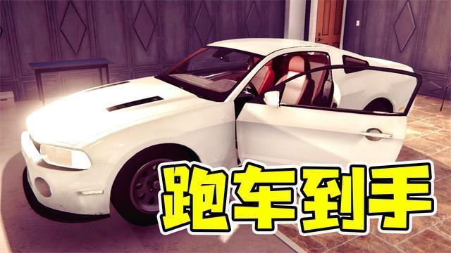 小偷模拟器12:跑车到手,天下我有!