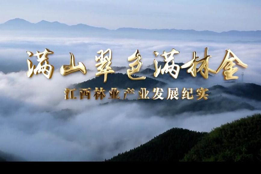 2020江西林业产业博览会宣传片震撼来袭