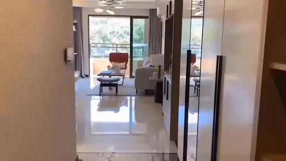 深圳一手新房,只需要交契税97平,总价264,西南朝向。#抖音小助