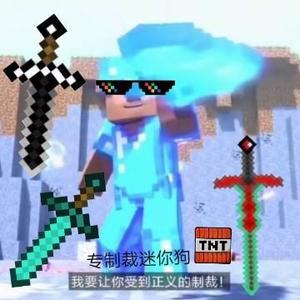 烦人村民我的世界 
