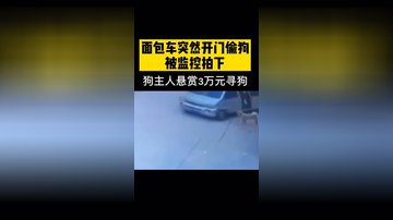 面包车突然开门偷狗被监控拍下,狗主人悬赏3万元寻狗