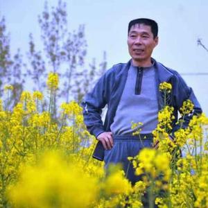 六哥的旅行 