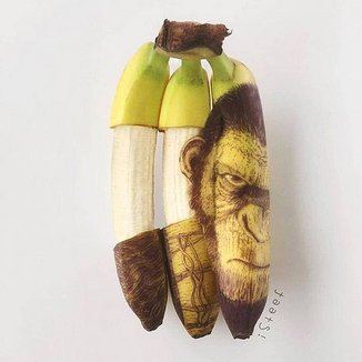 综艺报不停 