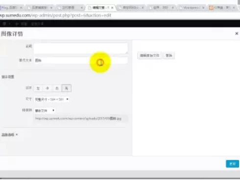 创业技术wordpress建站教程 (8)