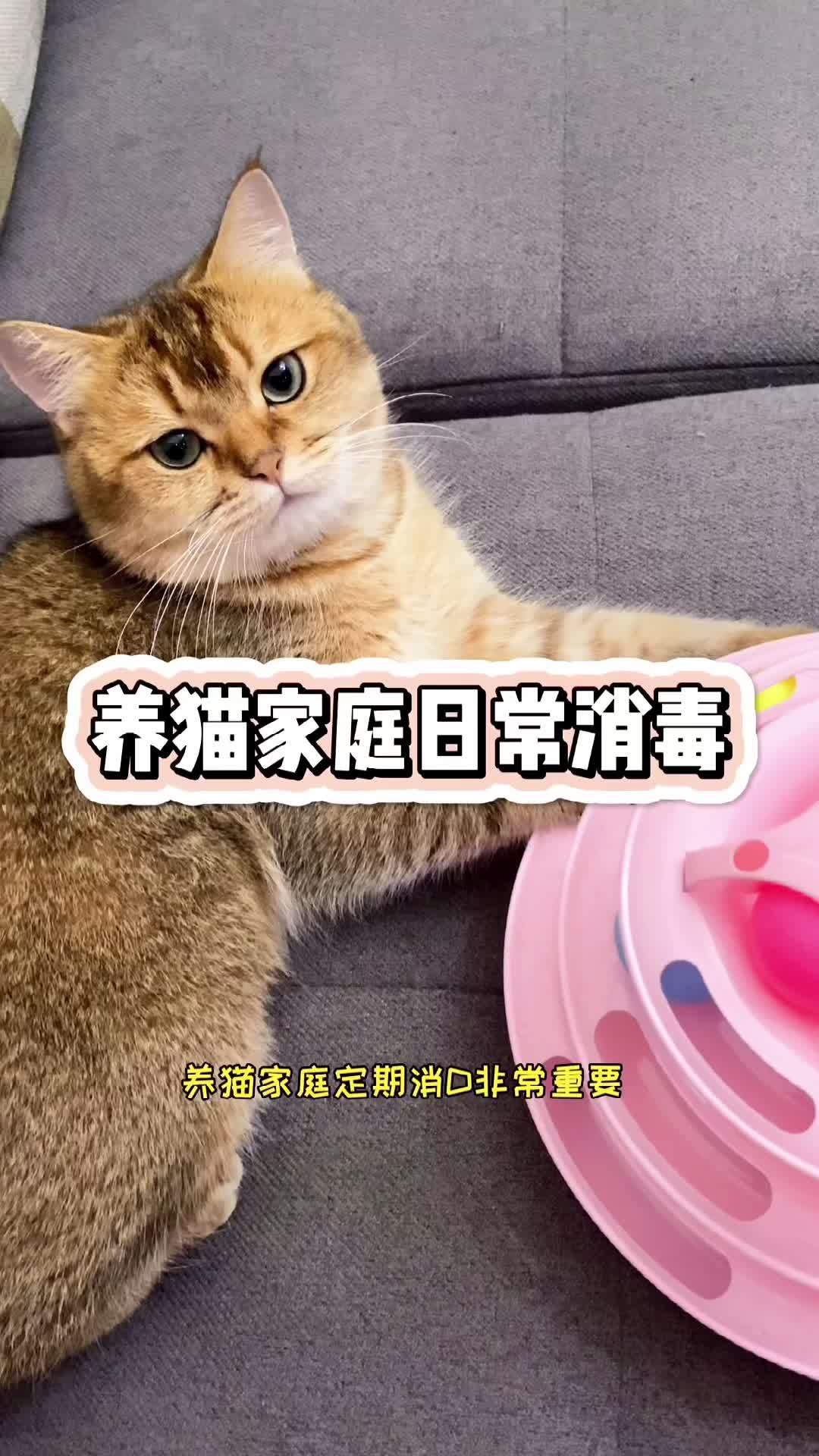 #创作灵感 整理了上次粉丝问的养猫怎么给家里消毒 养猫后消毒真的很...