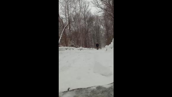 我是林业大叔,林业的宣传兵!