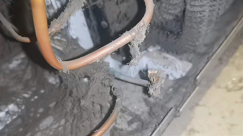 #家电维修#冰箱维修