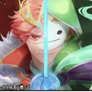 冷月葬花魂-不负流年 