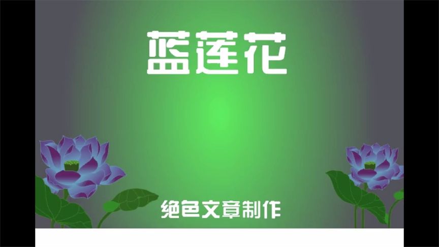 那些年我们看过的FLASH动画