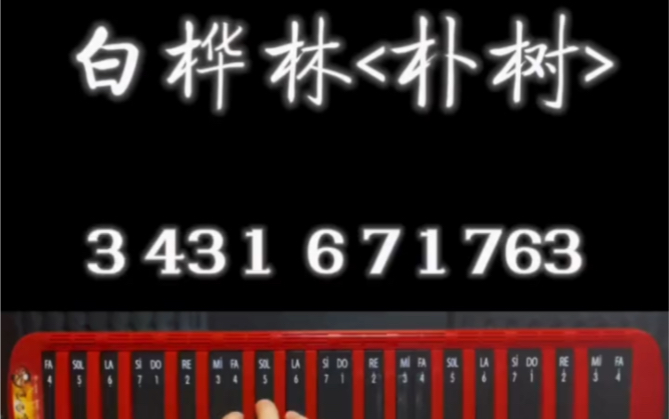 白桦林简谱口风琴教学动态曲谱