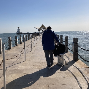 真正的乘客王菲 