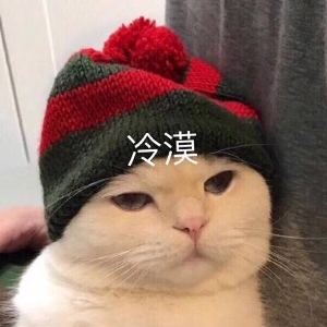 爱弹棉花的小肖 