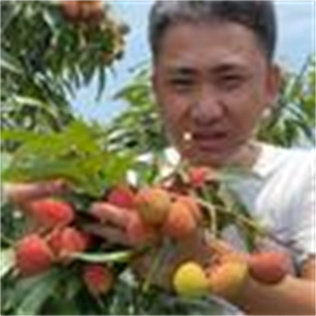 留一手鲜果
