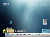 [交易时间]公司与行业 云计算行业高速发展 政策红利引巨额资本入市