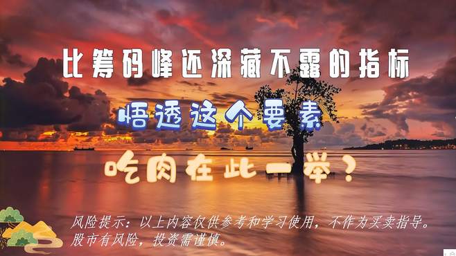 比筹码峰还深藏不露的指标,悟透这个要素,吃肉在此一举?