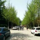 爱笑视频笑不停 