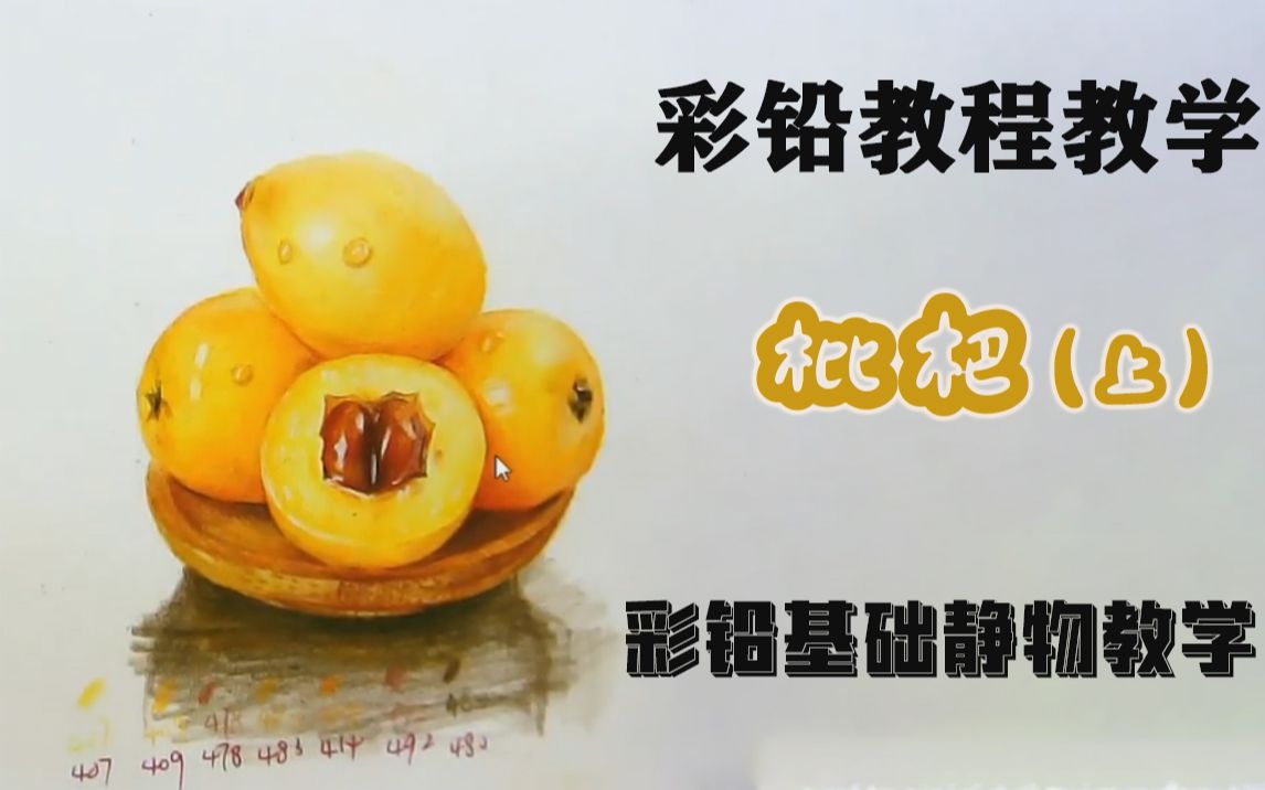 【彩铅入门教程】静物基础水果教学——枇杷上