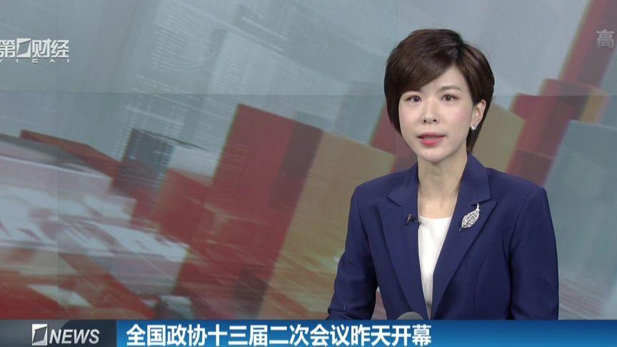 全国政协十三届二次会议昨天开幕