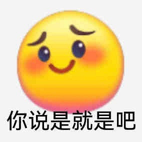 凤凰机场引导员 