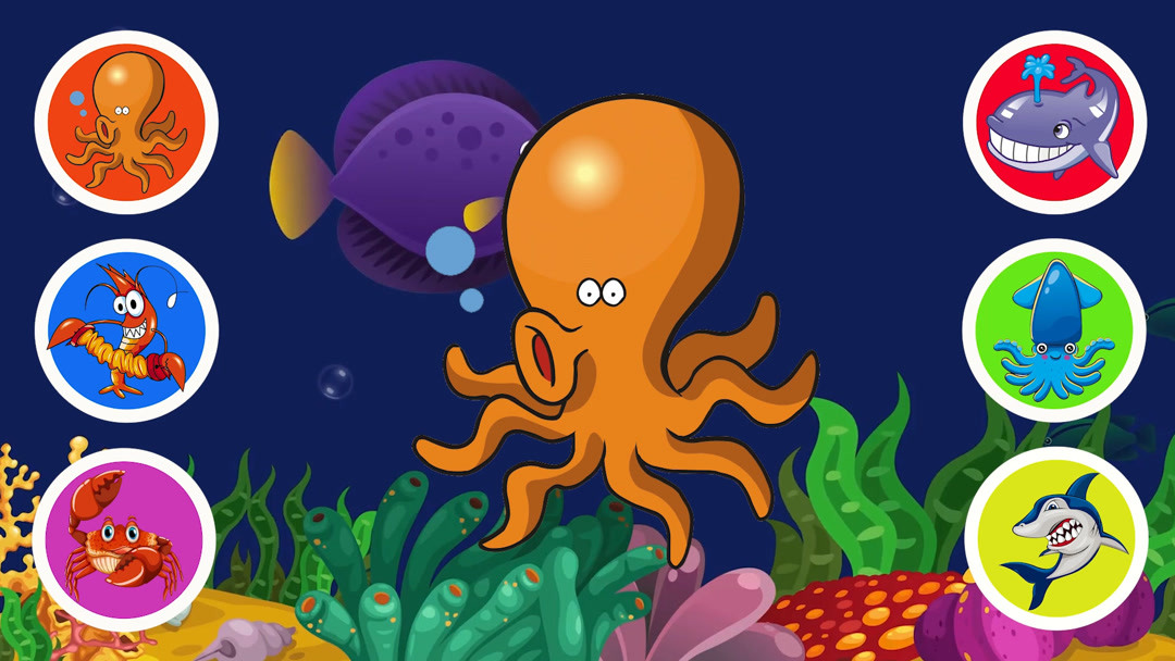 海底世界 带你认识章鱼等6种海洋动物 趣味识动物