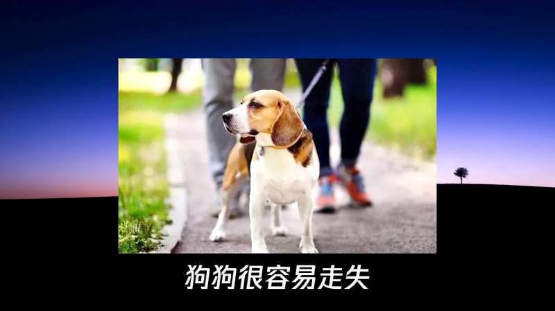 使用狗狗牵引绳的好处