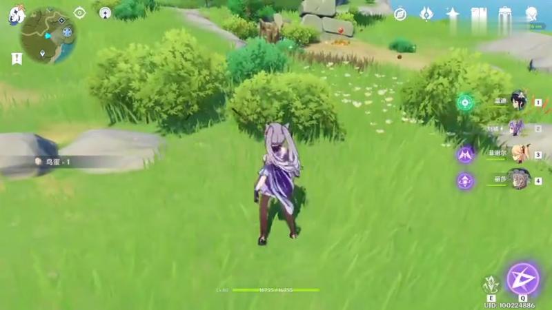 《原神》1分钟了解为什么可以无限刷食材!「doge」