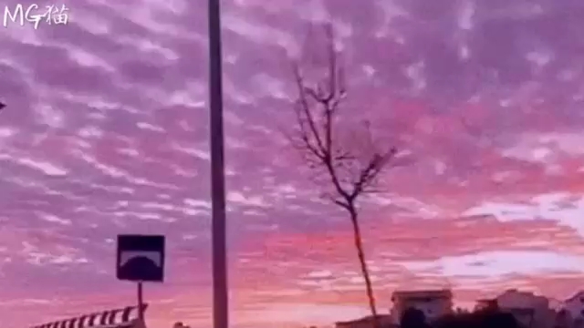 你敷衍的那么明显,我怎么会没有感觉