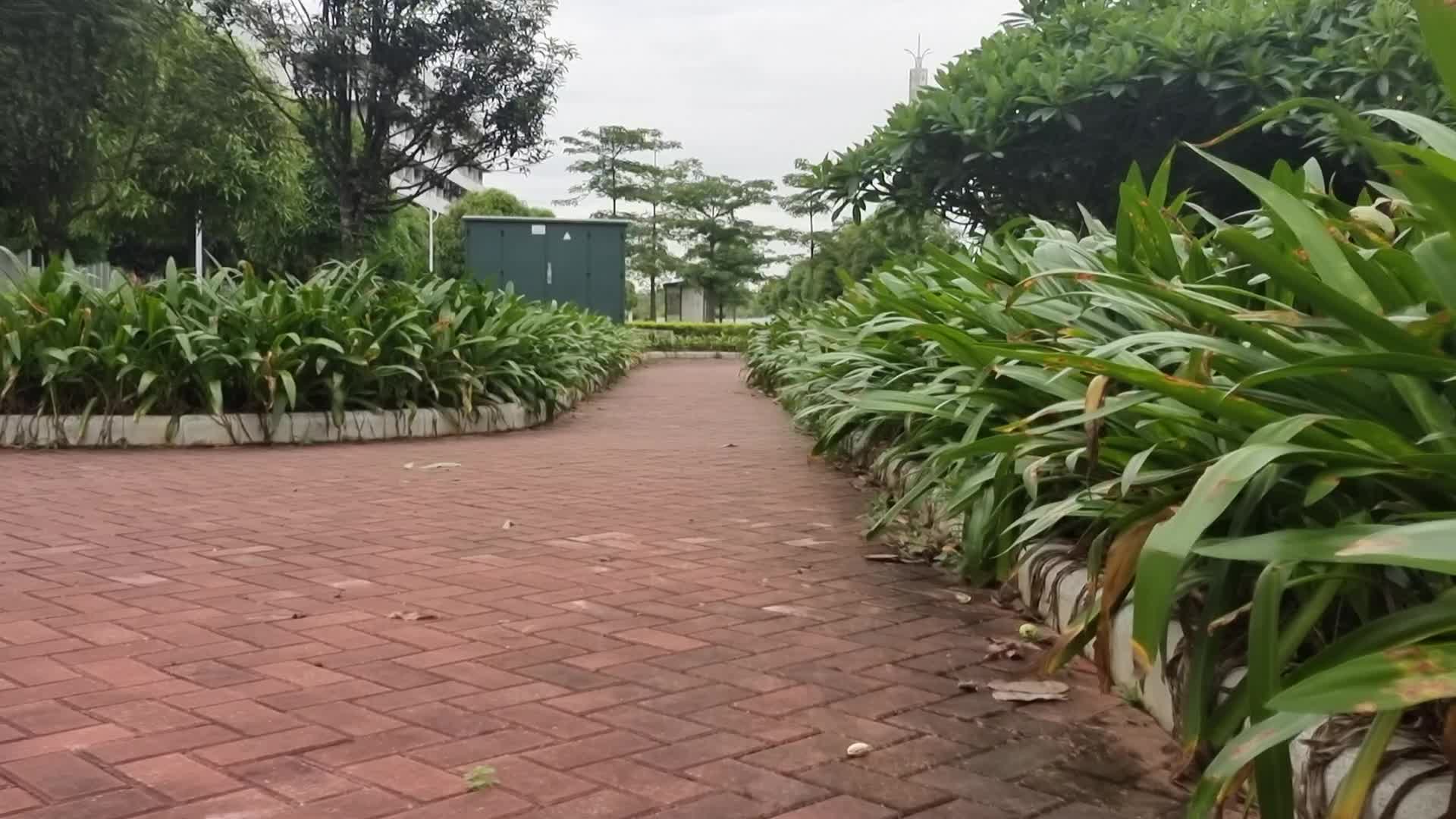 风景优美的实训基地,让我心旷神怡!中专报名中专较好的专业,中专报名...