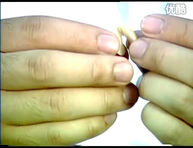 苏教版七上生物实验07大豆种子的结构