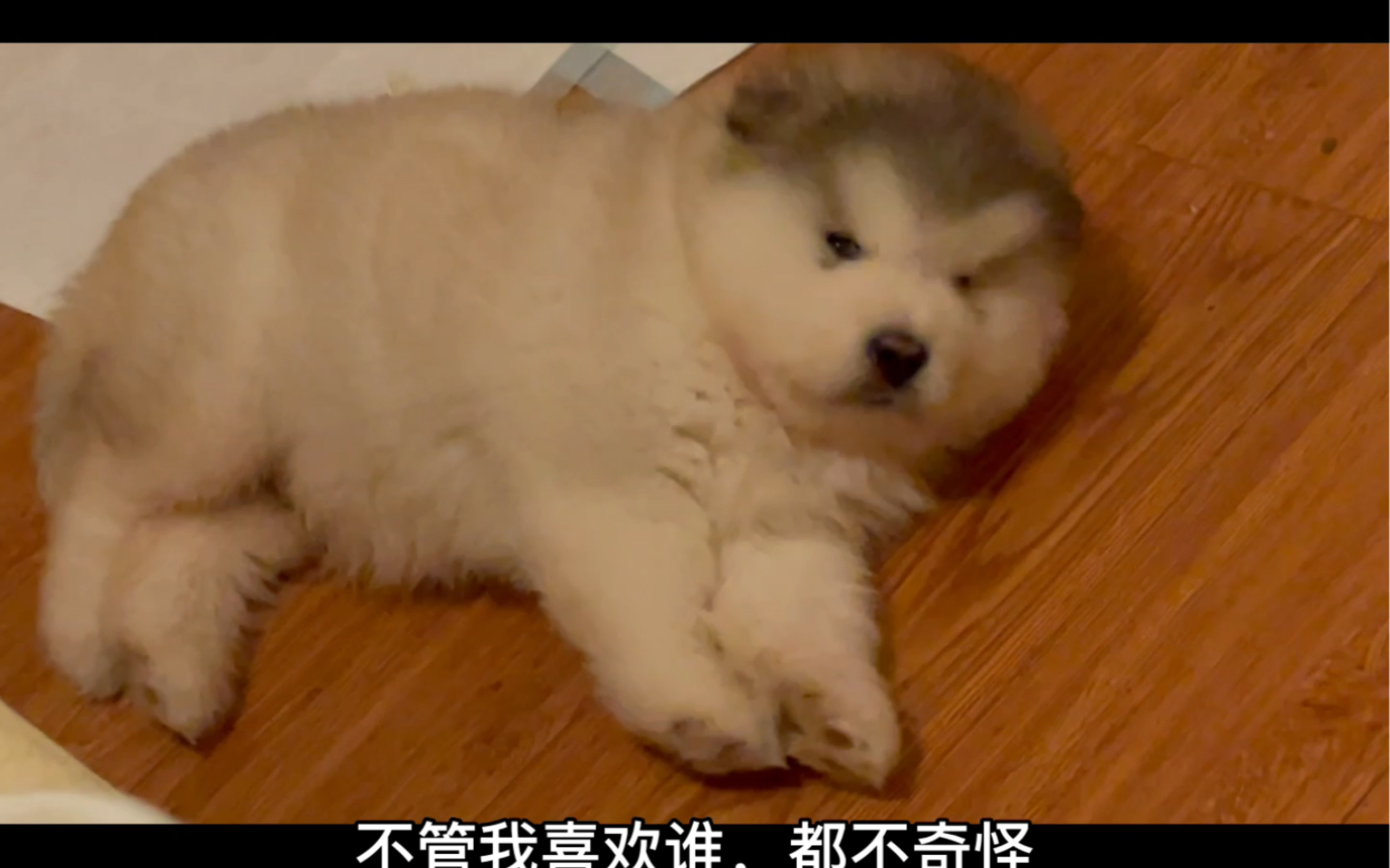 希望有一天,这个世界会变得不一样,不管我喜欢谁,都不奇怪