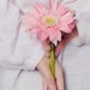 花飞漫漫 