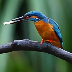 简单的裘都生活 