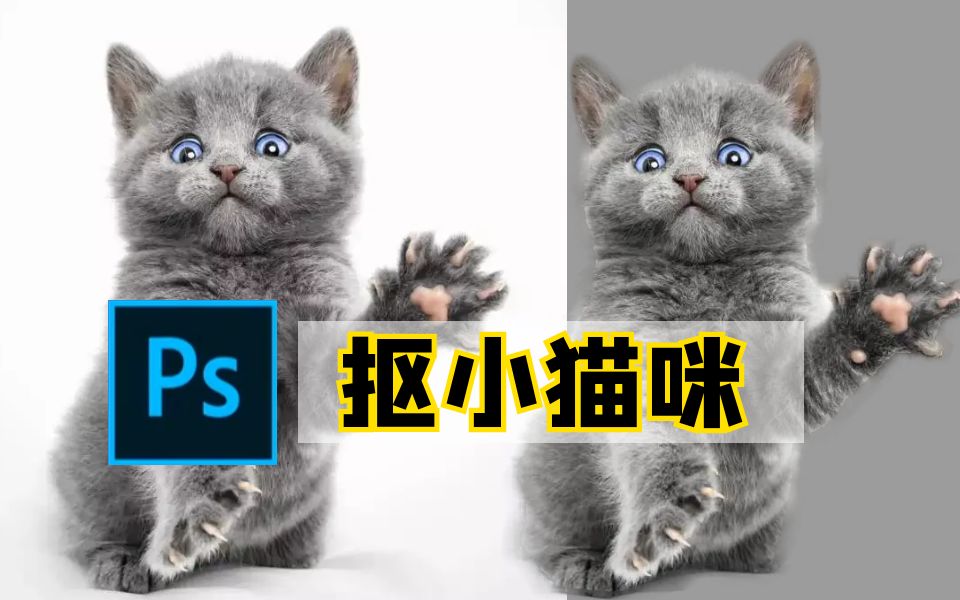 【PS教程】PS大佬是如何抠细碎的毛发的