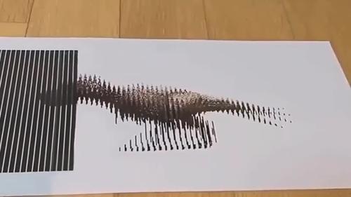 开始只是模糊不清的画,下一幕把我看愣了,这是什么原理?