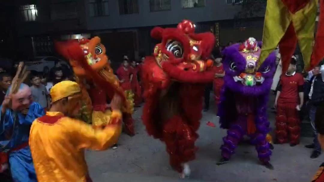 过年舞狮,狮子真漂亮