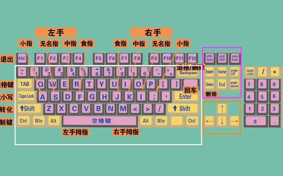 电脑初学者认识键盘和键盘正确打字方法