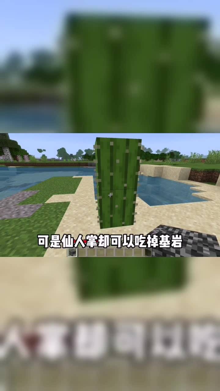 我的世界:你能撸的动