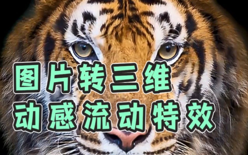 【AE插件】你也想你的照片能够变得栩栩如生吗?这款AE插件就能够...