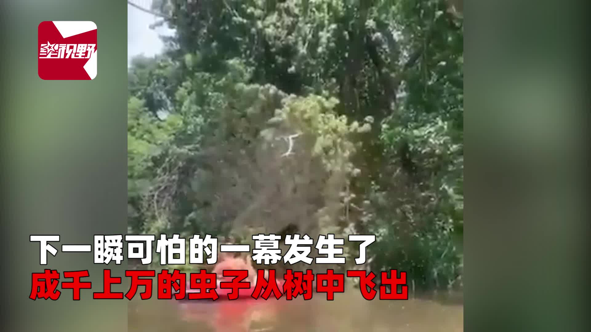 精神小伙河里划船,好奇敲打岸边树枝,下一秒悲剧了